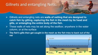 Fishing Gears and Fishing Methods | PPTX