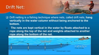 Fishing Gears and Fishing Methods | PPTX
