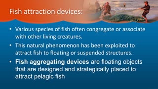 Fishing Gears and Fishing Methods | PPTX