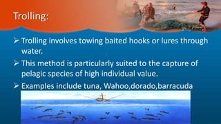 Fishing Gears and Fishing Methods | PPTX
