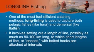 Fishing Gears and Fishing Methods | PPTX