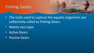 Fishing Gears and Fishing Methods | PPTX