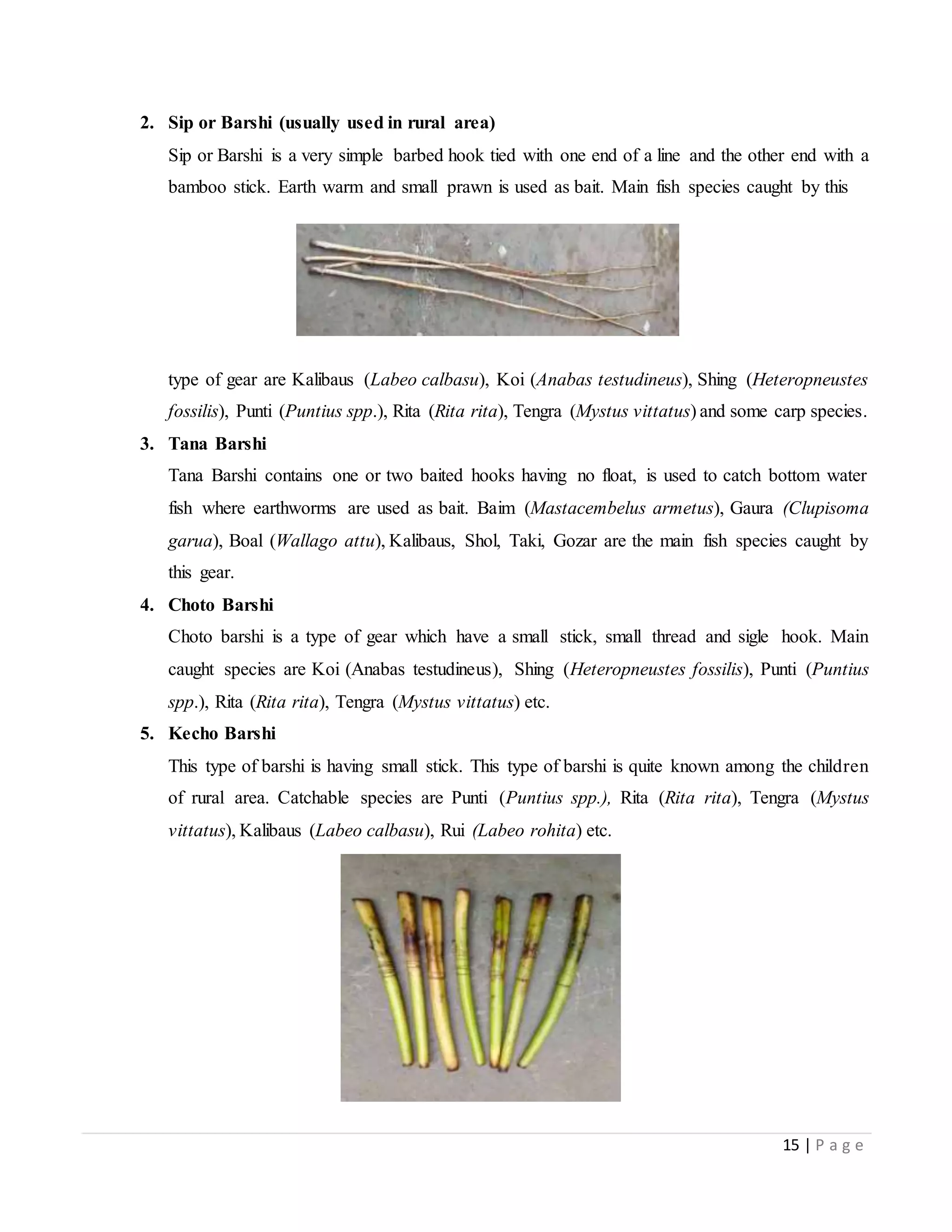 Fishing gear without net | DOCX