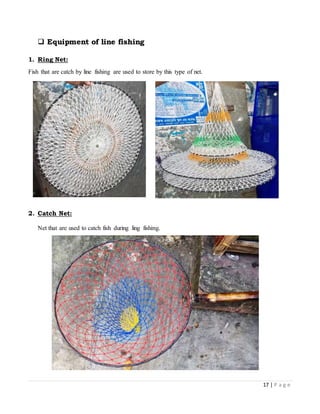 Fishing gear without net | PDF