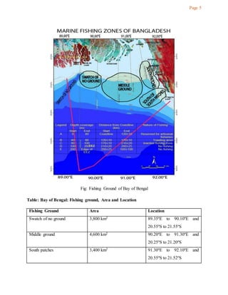 Fishing ground of bay of bengal | DOCX