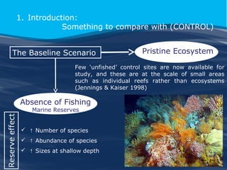Fishing impact on fish communities | PPT