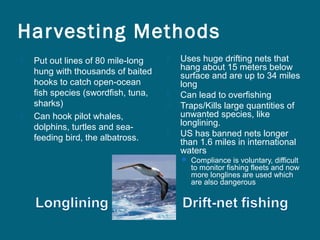 Fishing industry | PPT