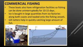 Fishing industry | PPTX