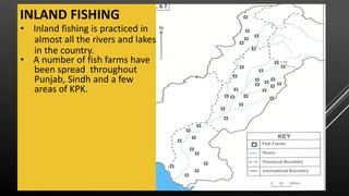 Fishing industry | PPTX