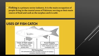 Fishing industry | PPT