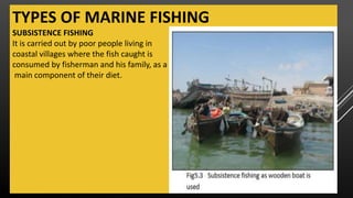 Fishing industry | PPTX