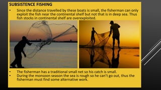 Fishing industry | PPT