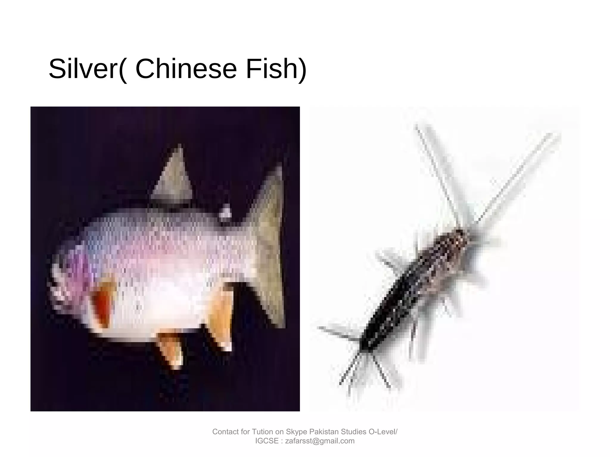 Fishing industry of Pakistan.pptnew | PPT