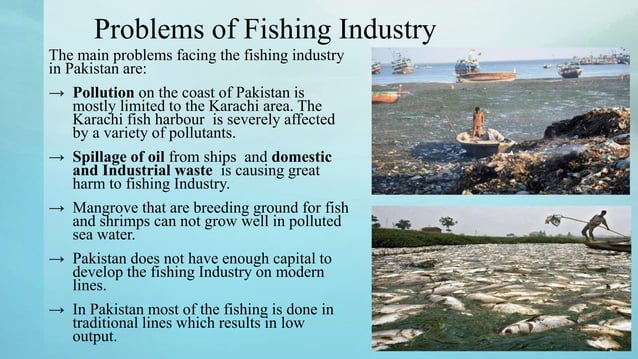 Fishing industry of Pakistan | PPTX