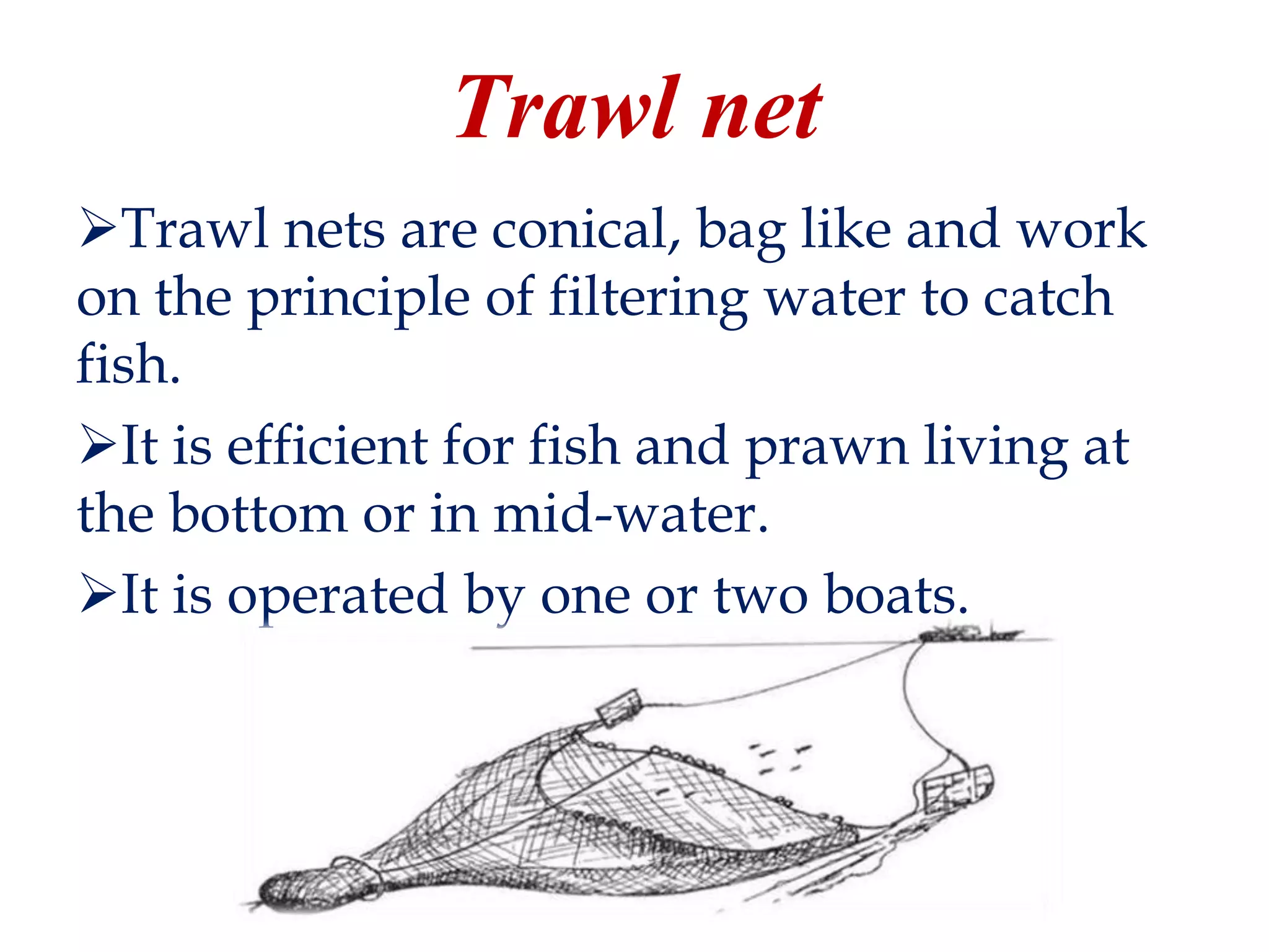 Fishing methods | PPTX