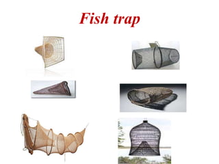 Fishing methods | PPTX | Fishing Sports | Sports