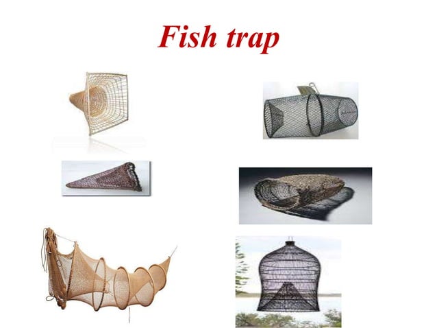 Fishing methods | PPTX | Fishing Sports | Sports