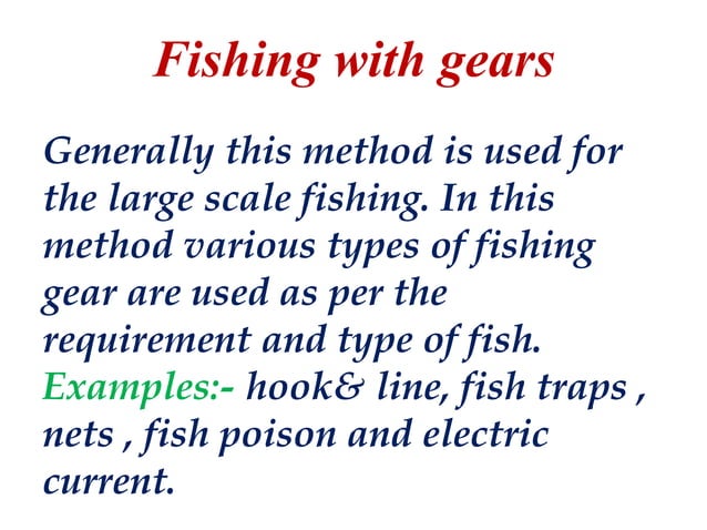 Fishing methods | PPTX | Fishing Sports | Sports