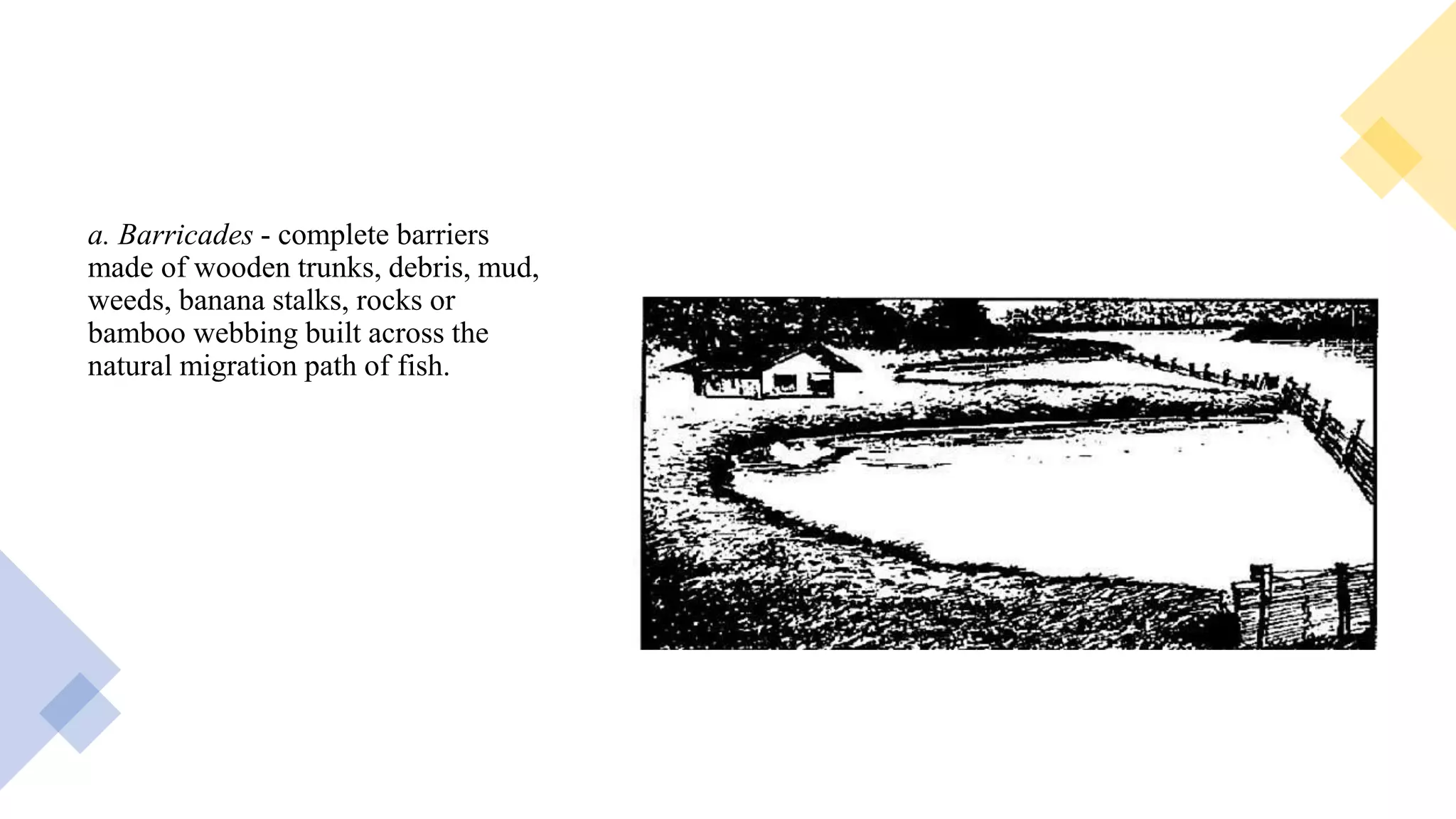 FISHING METHODS AND GEARS.pptx