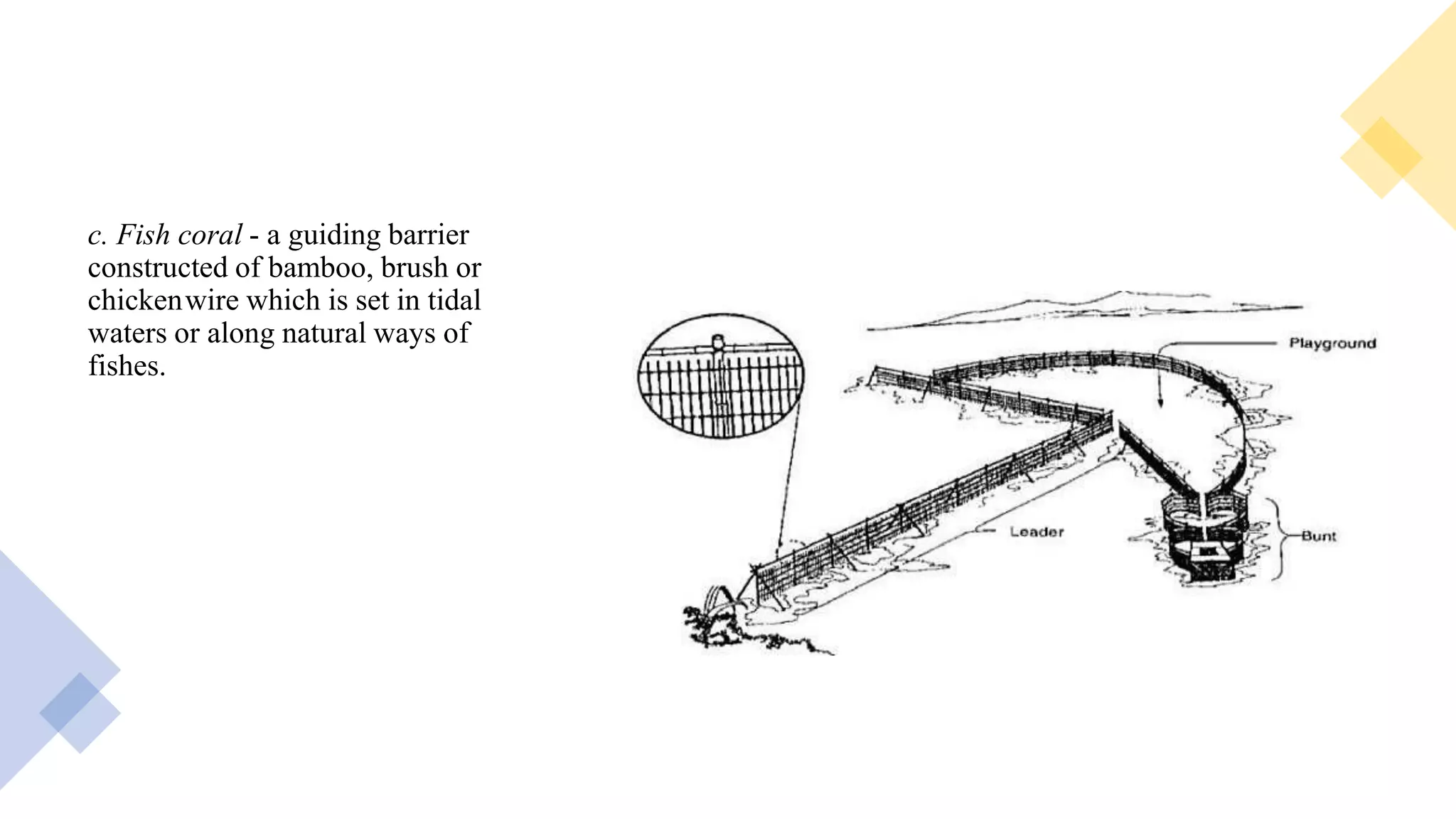 FISHING METHODS AND GEARS.pptx