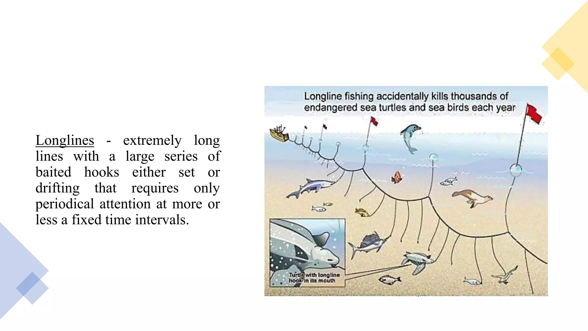 FISHING METHODS AND GEARS.pptx