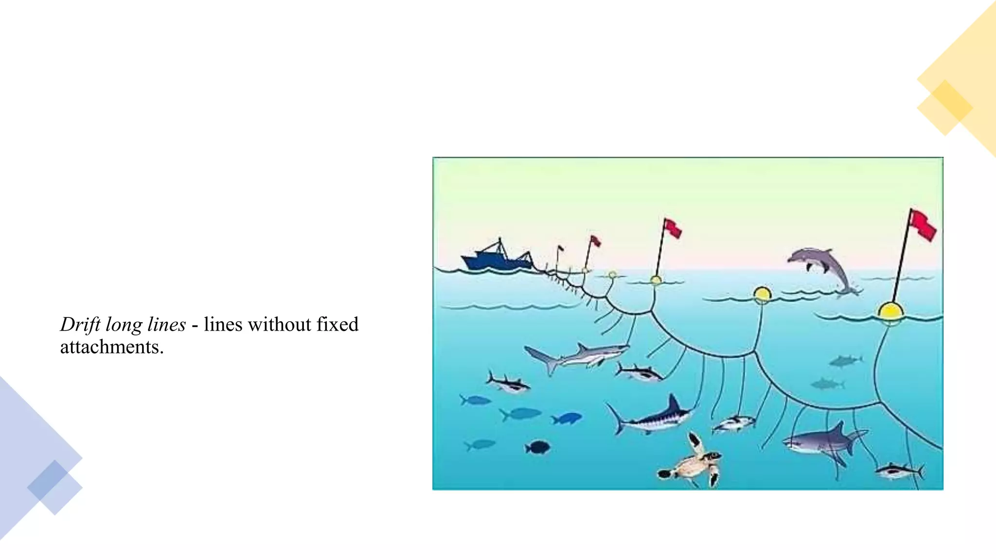 FISHING METHODS AND GEARS.pptx