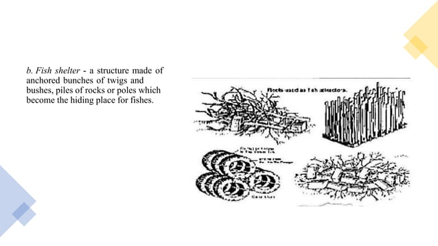 FISHING METHODS AND GEARS.pptx