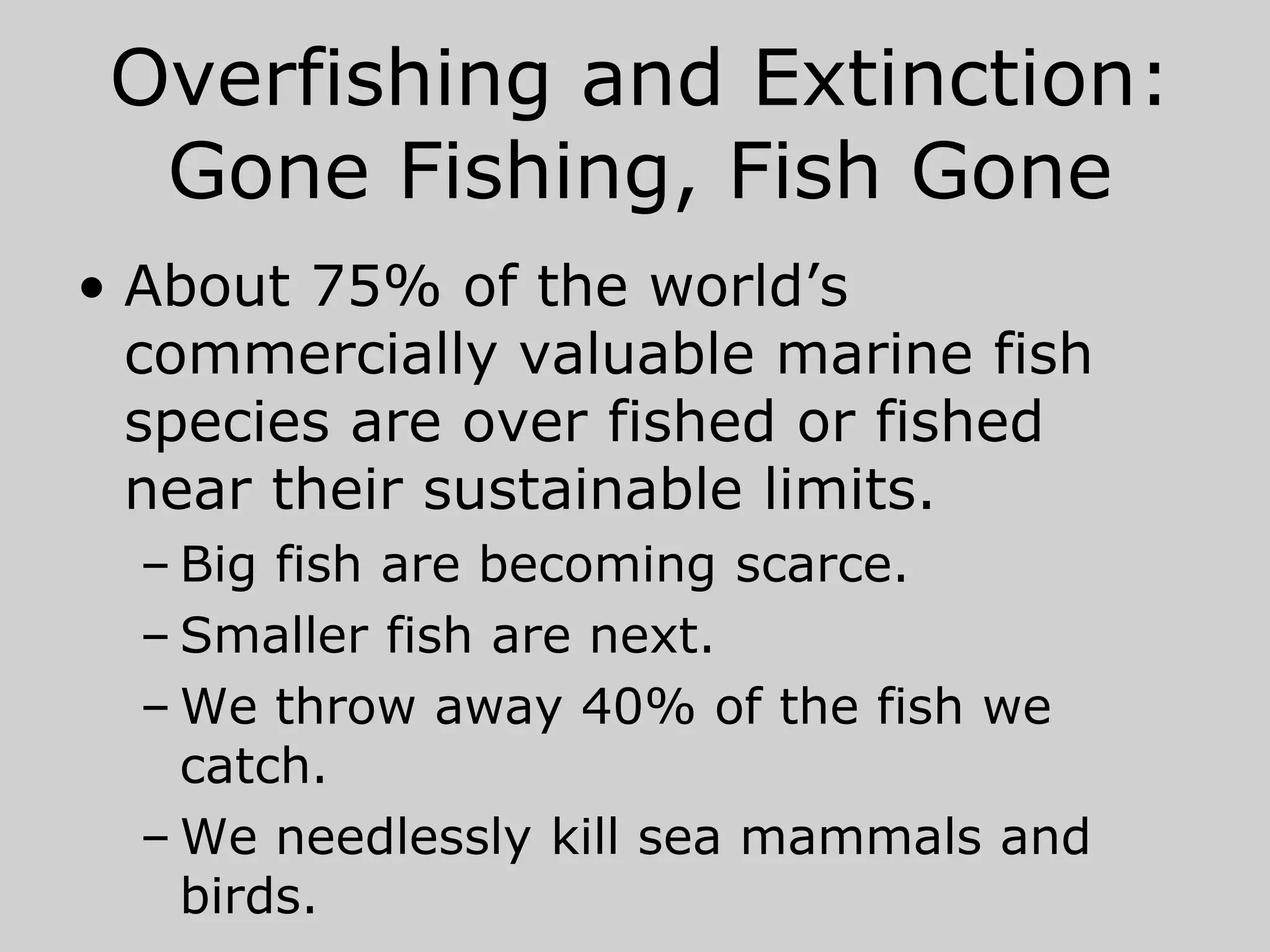How have overfishing and non-sustainable fishing methods affected our ...