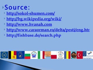 Fish in our region | PPT