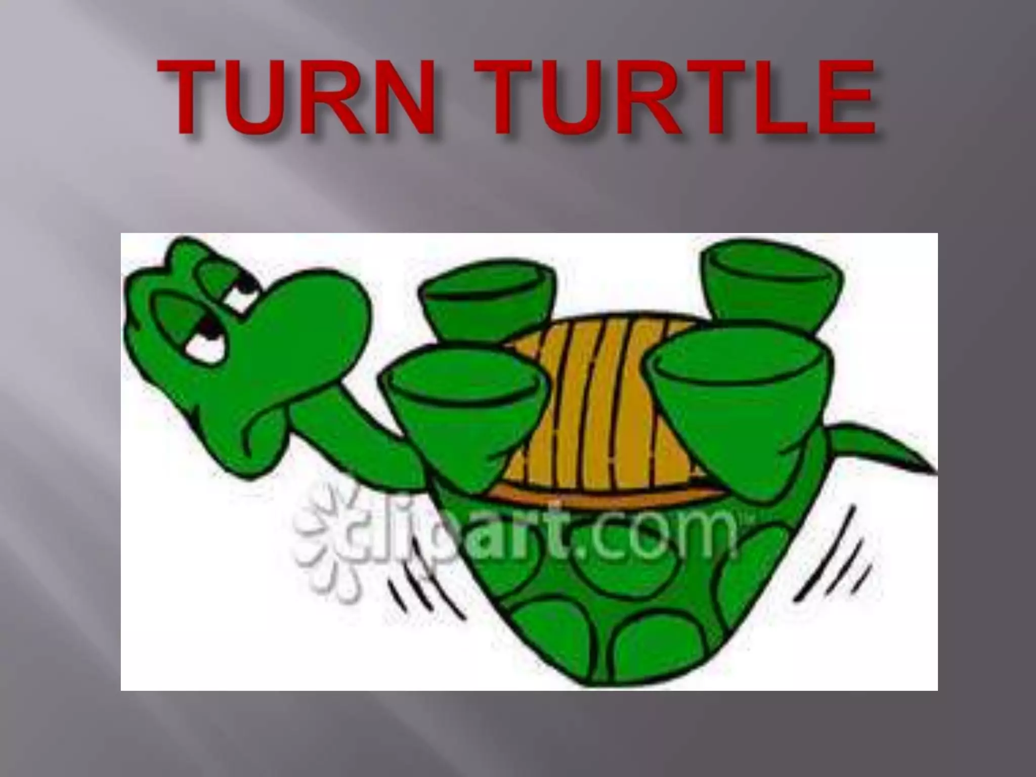 Fish, insects idioms | PPSX | Fish and Aquariums | Pets