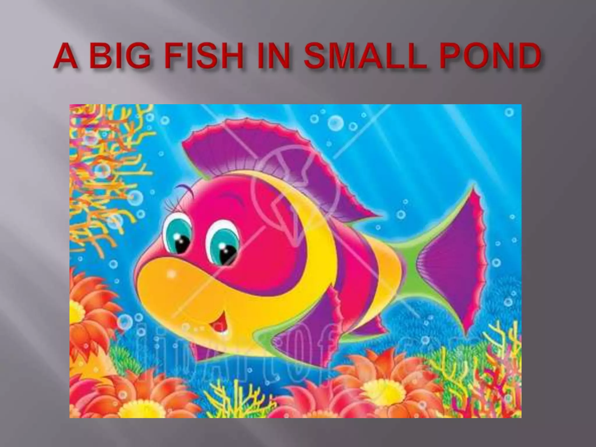 Fish, insects idioms | PPSX | Fish and Aquariums | Pets