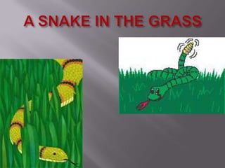 Fish, insects idioms | PPSX