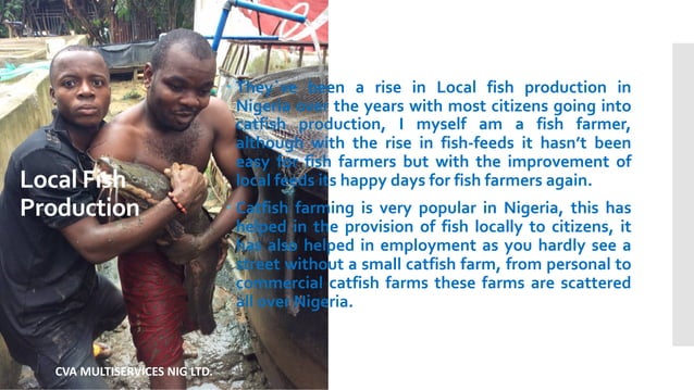 Import fish into Nigeria now and Smile to the Bank | PPT