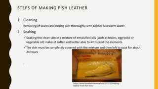 Fish leather | PPTX