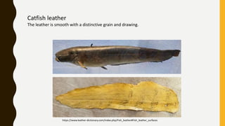 Fish leather | PPTX