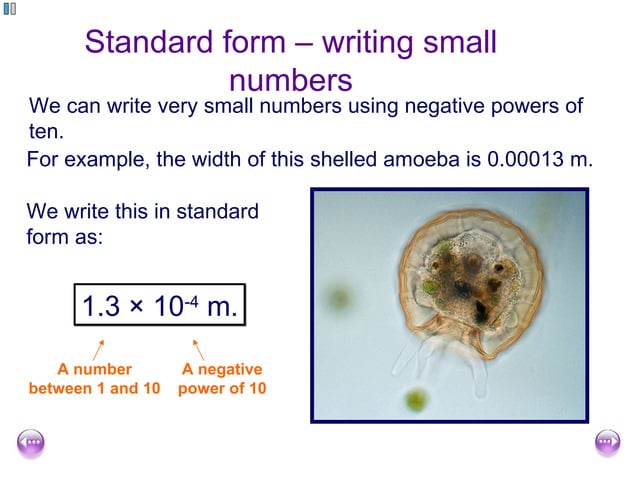 Fishlock Lesson One Standard Form | PPT