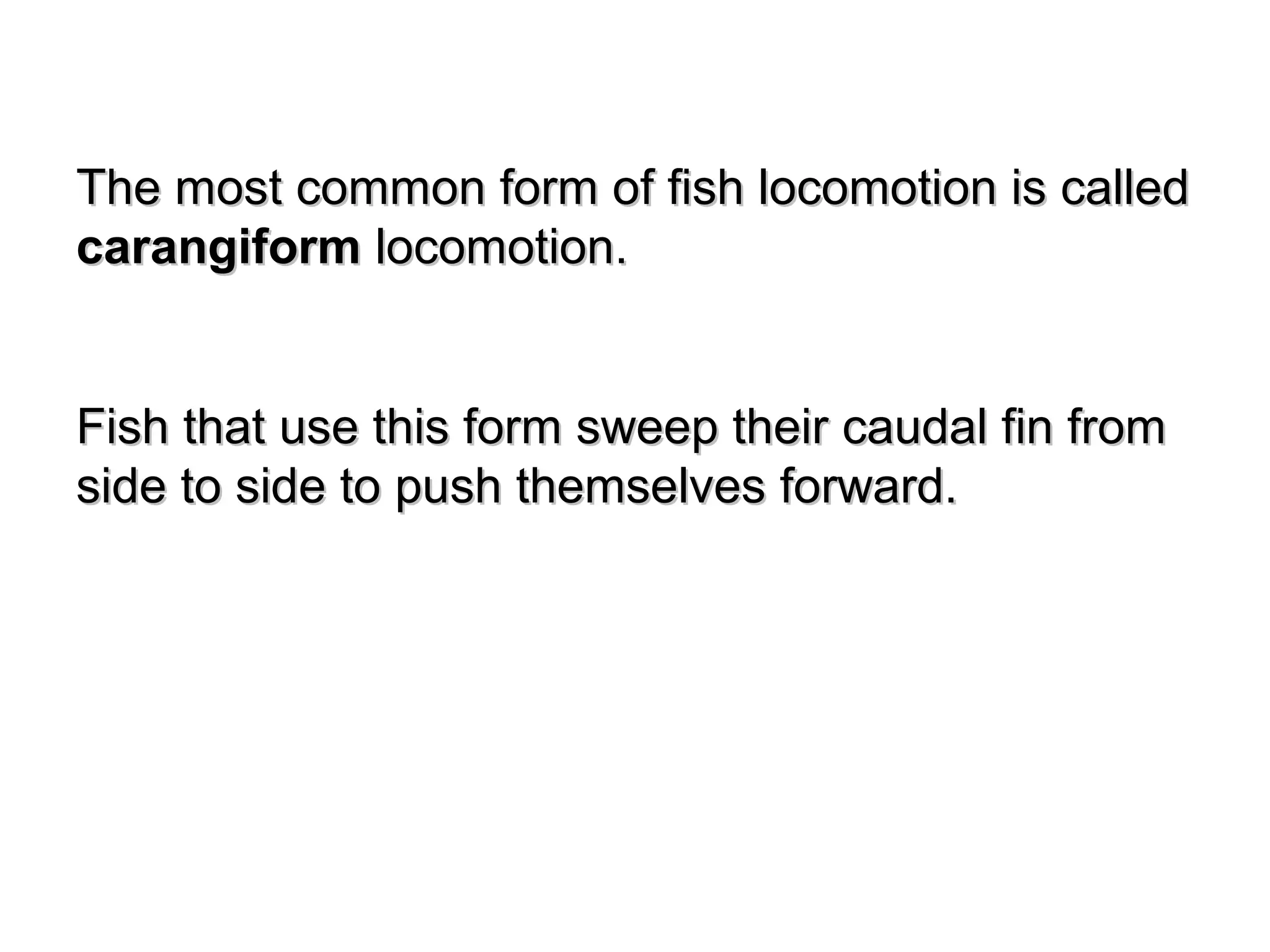 Fish locomotion Notes | PPT