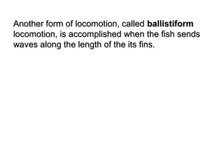 Fish locomotion Notes | PPT