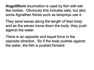 Fish locomotion Notes | PPT