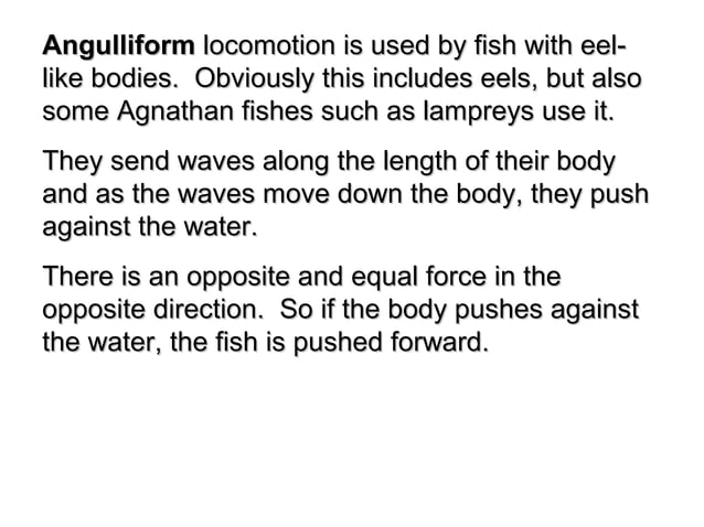 Fish locomotion Notes | PPT | Surfing and Bodyboarding | Extreme Sports