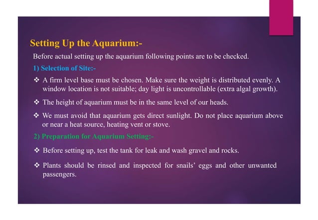 aquarium | PPTX