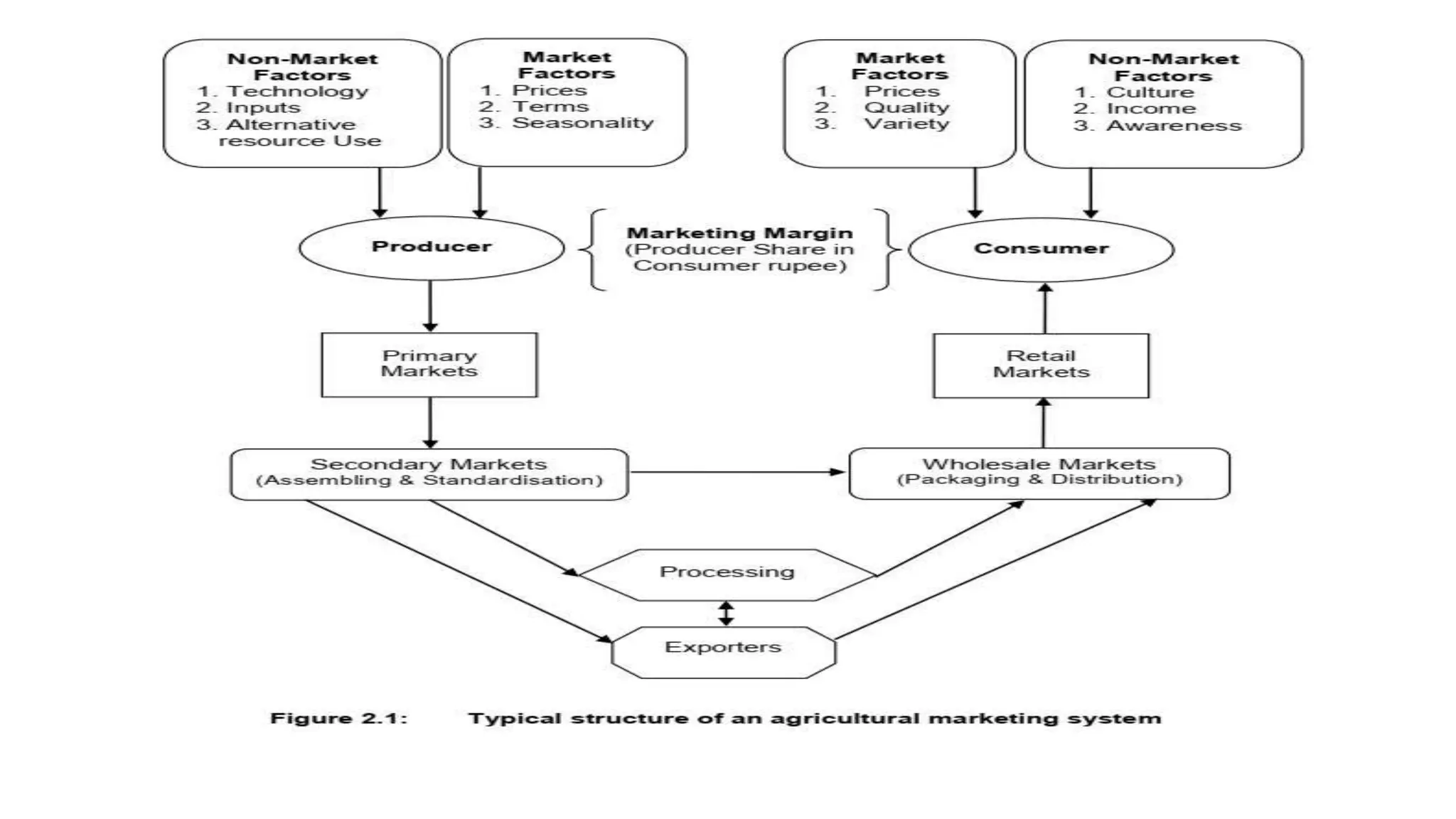 Fish marketing | PPTX