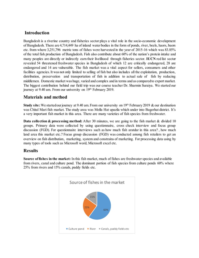 Fish market survey | DOCX | Fish and Aquariums | Pets