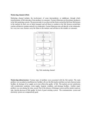 Fish market survey | DOCX