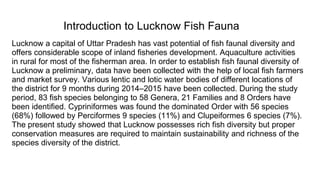 Fish market Survey in Machli Mandi in Alambagh.pptx