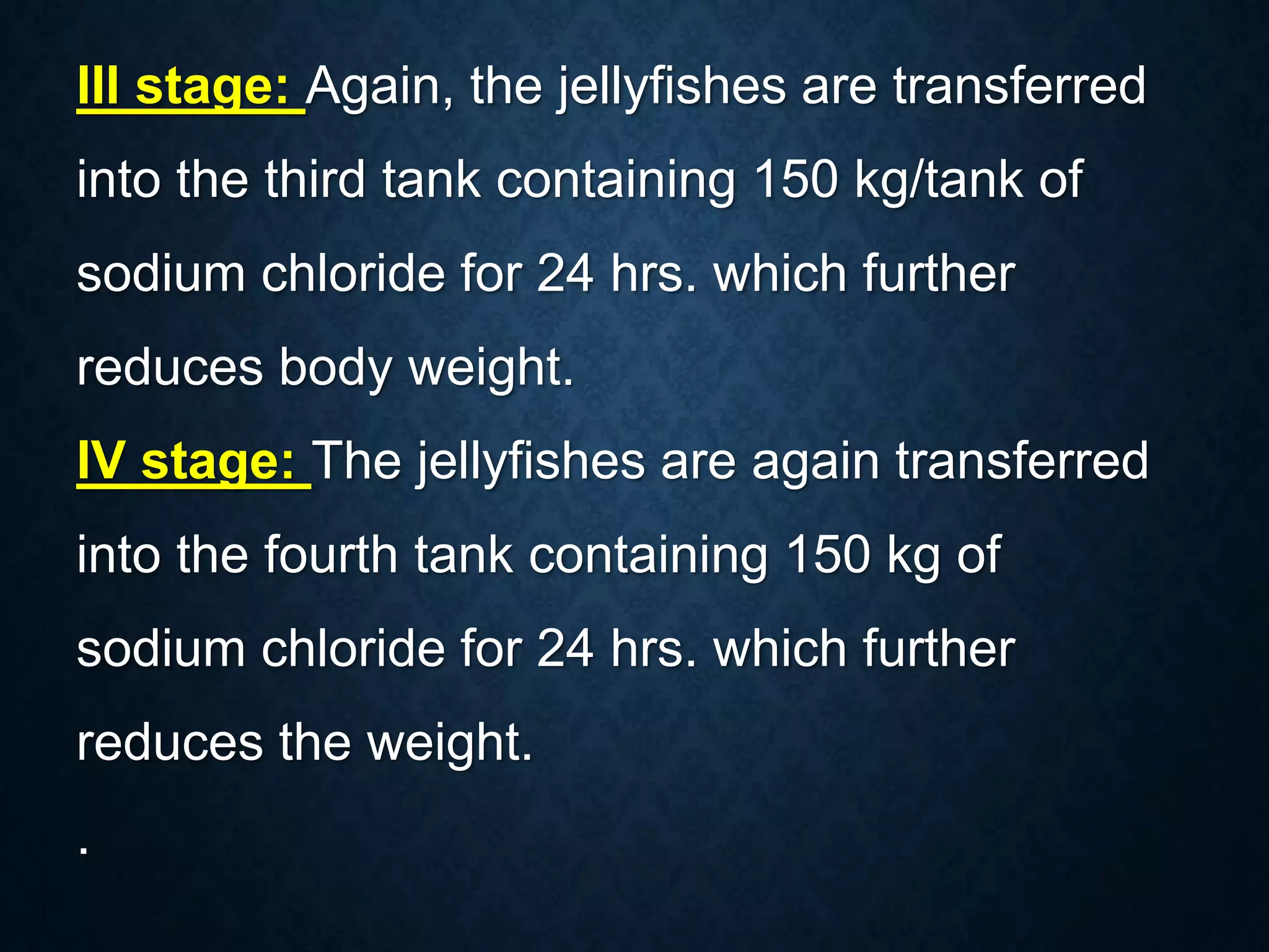 Fish maws, isinglass etc.pptx