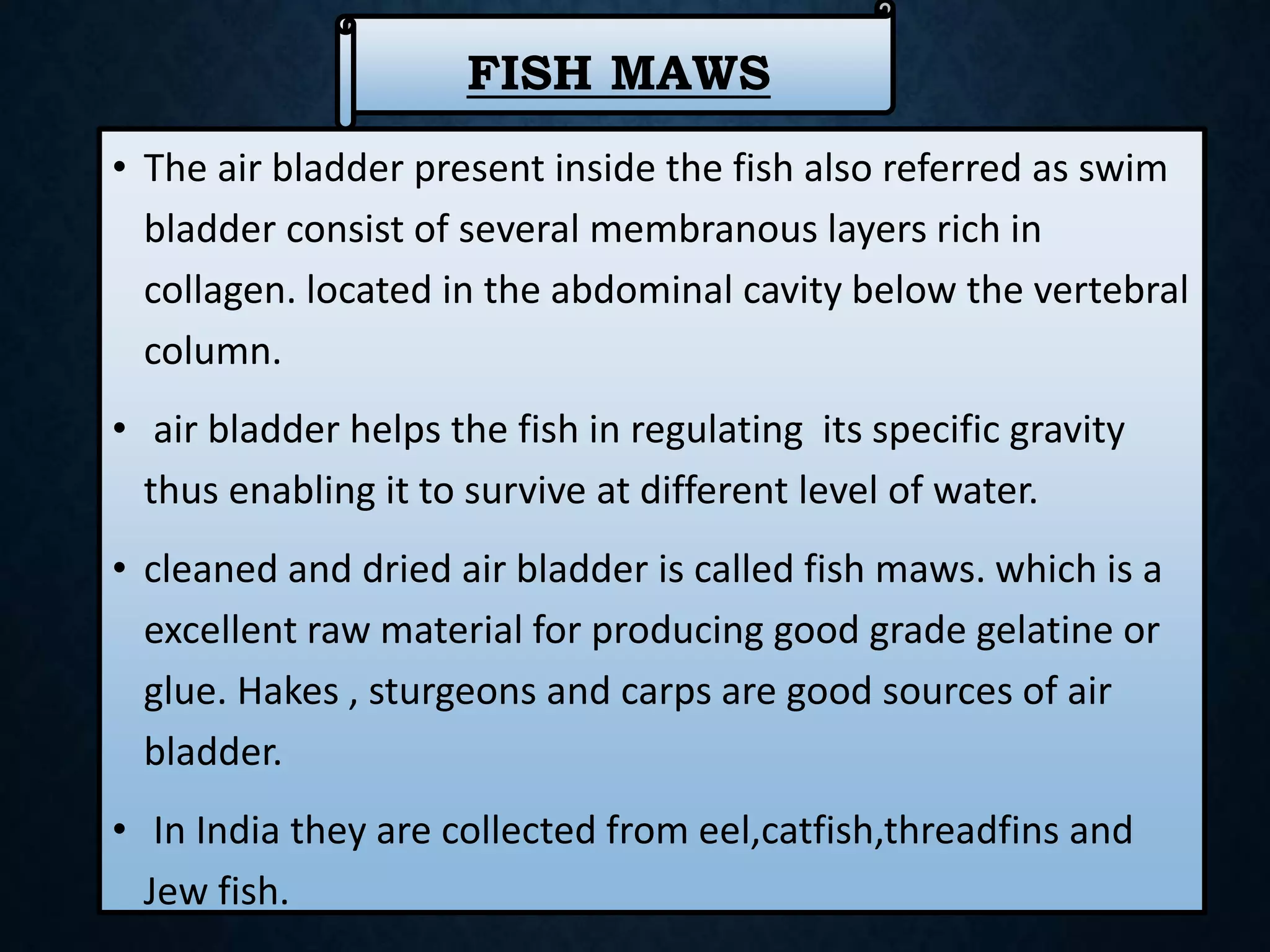 Fish maws, isinglass etc.pptx