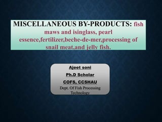 Fish maws, isinglass etc.pptx