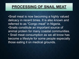 Fish maws, isinglass etc.pptx