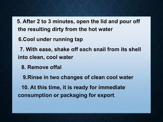 Fish maws, isinglass etc.pptx